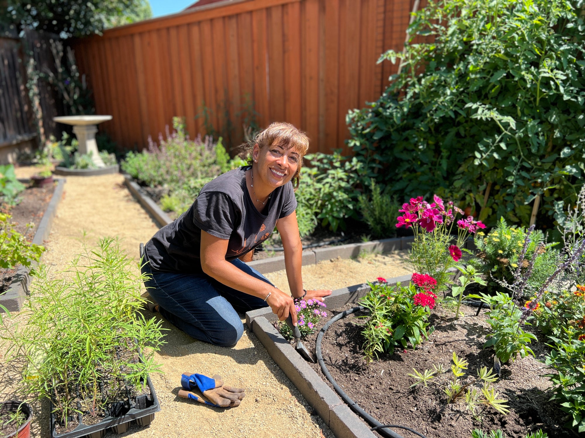 About The Vision – Monarch Botanika